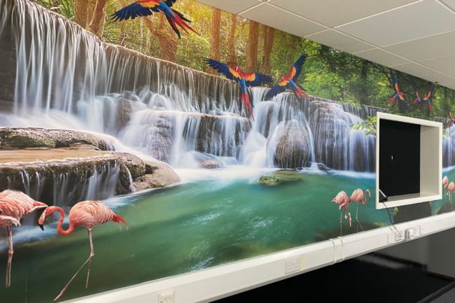 Office Wall Covering & Mural Graphics. Contact Us Today.